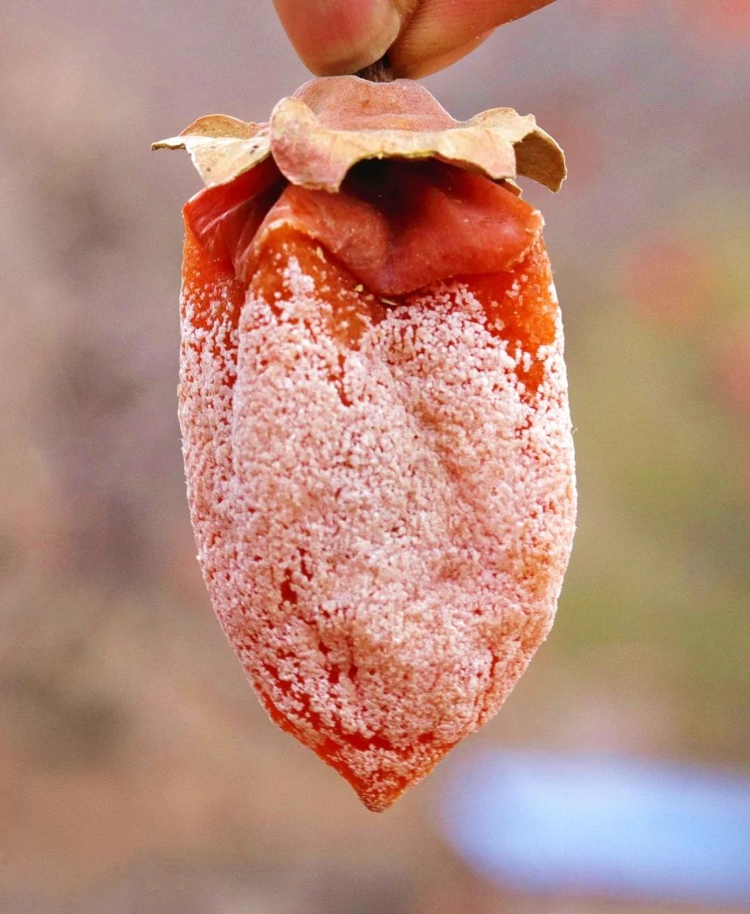 A winter delicacy treasured by the northerners, this Fuping persimmon ...