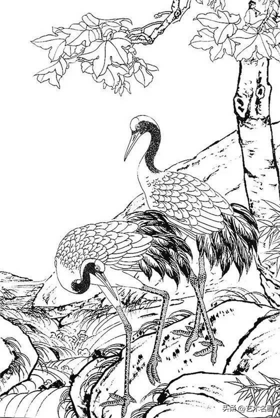 A group of line drawing cranes, vivid︱Famous art paintings - iNEWS