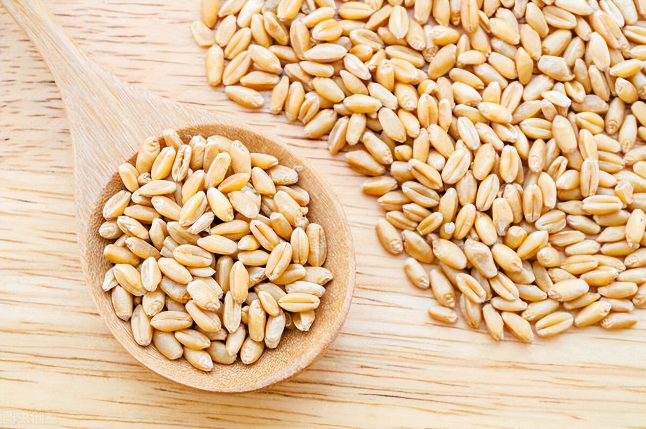 Medicinal and food homologous recipe: Ganmai Dazao Decoction, which can ...