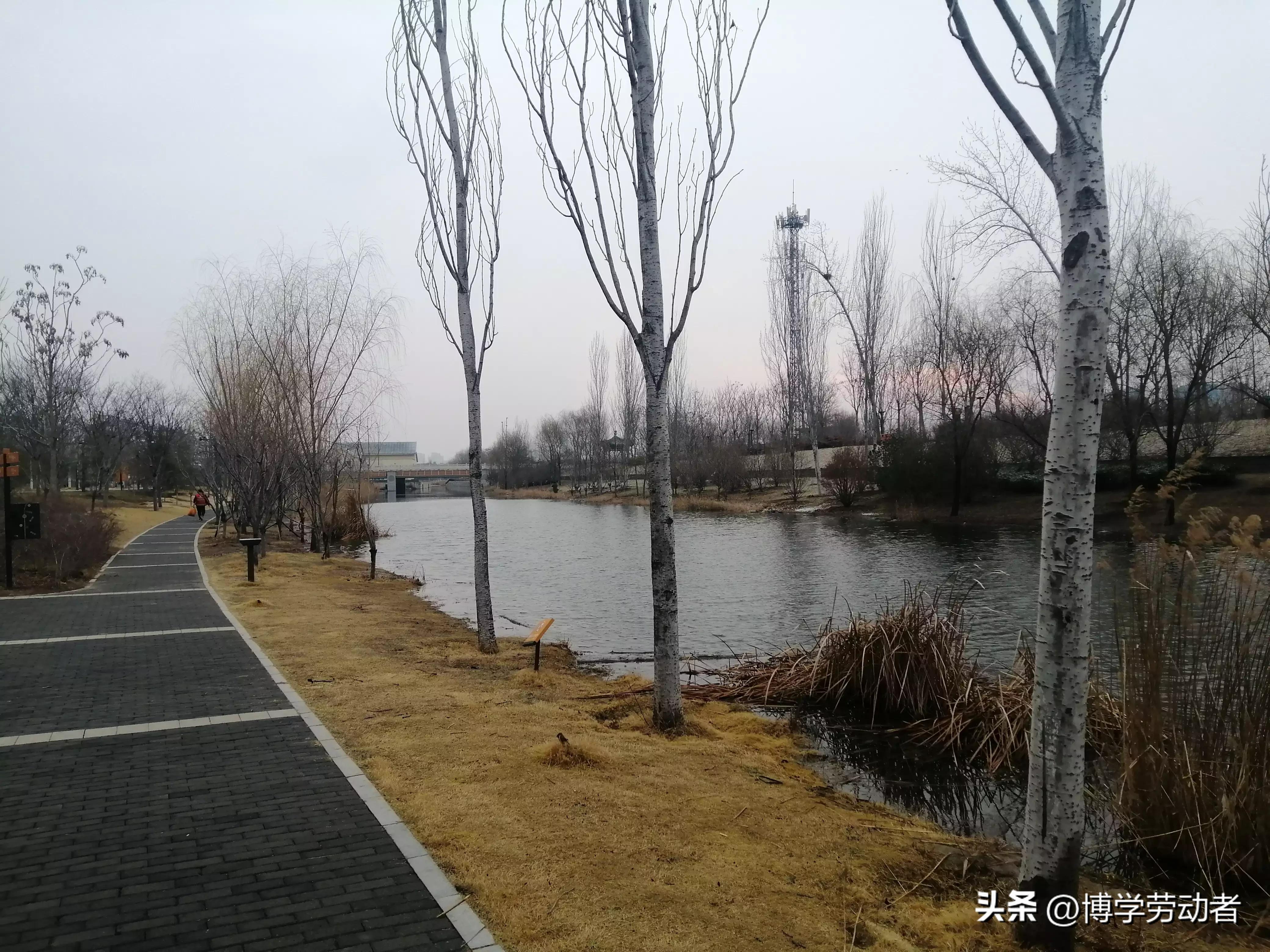 "Zhi Jing": People who see their benefits are not benefits - iNEWS