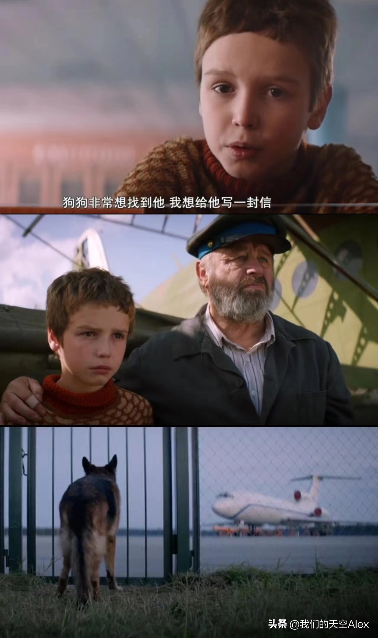 After-views of the Russian film Loyal Dog Palma: The true meaning of ...