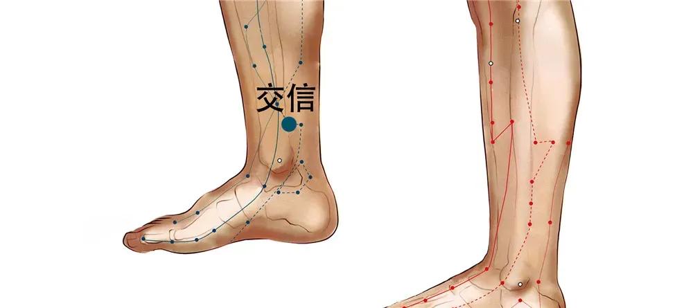 The magical Jiaoxin point, the acupuncture point that communicates and ...