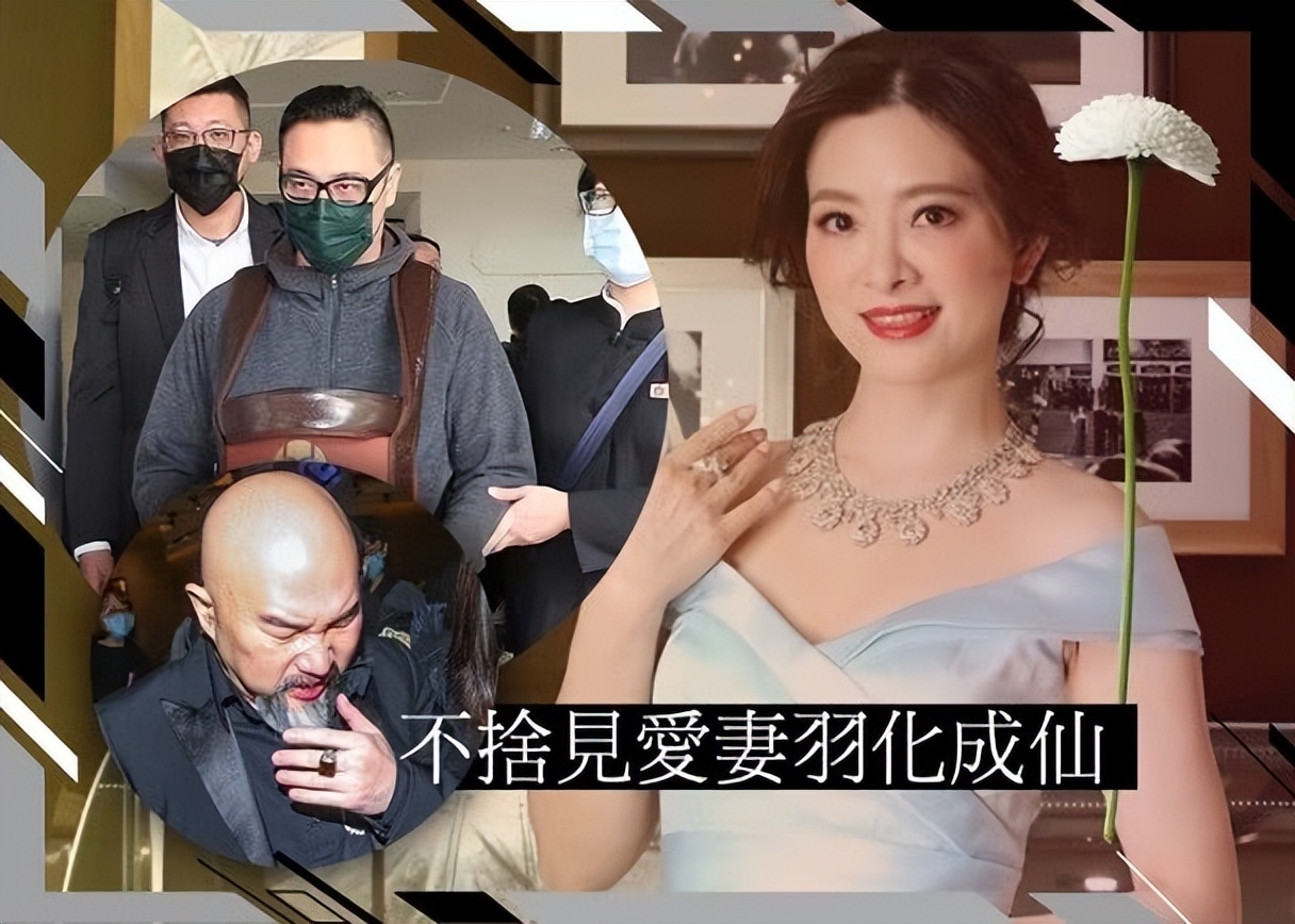 26 months after Liu Zhen's death, Xin Long still failed to get out of ...