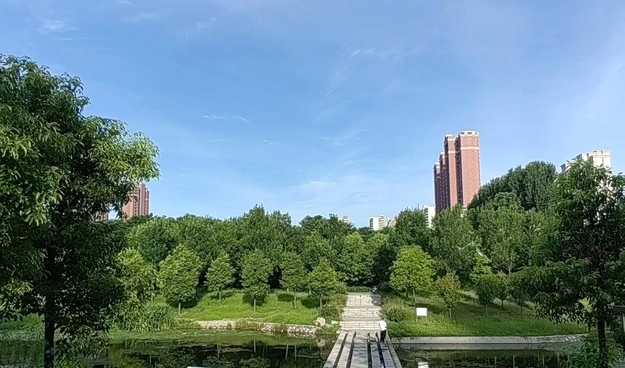 Who is so affectionate and tolerant (Solar Eclipse Verse 36) - iMedia