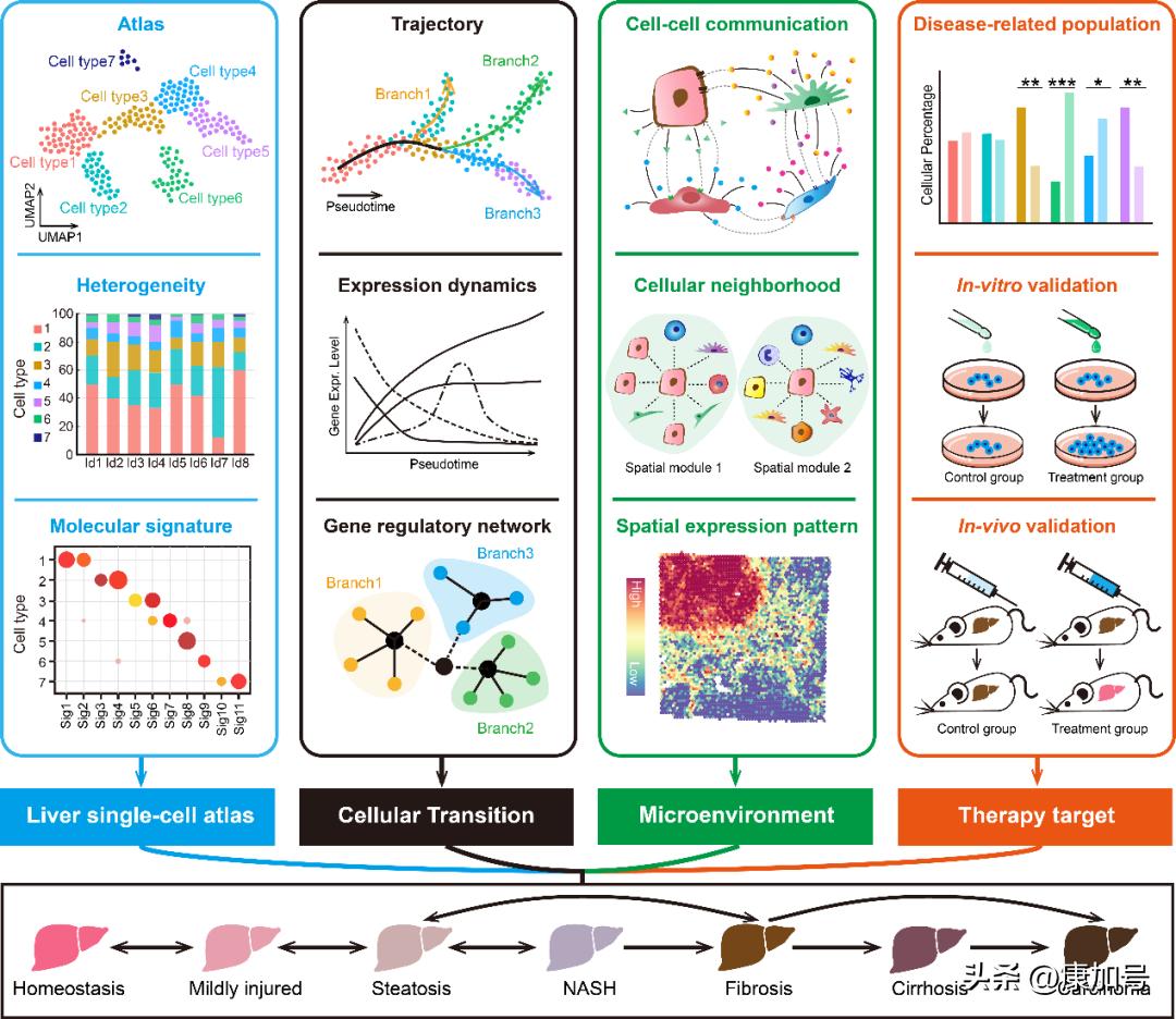 Chinese Academy of Sciences research group publishes a review on the ...