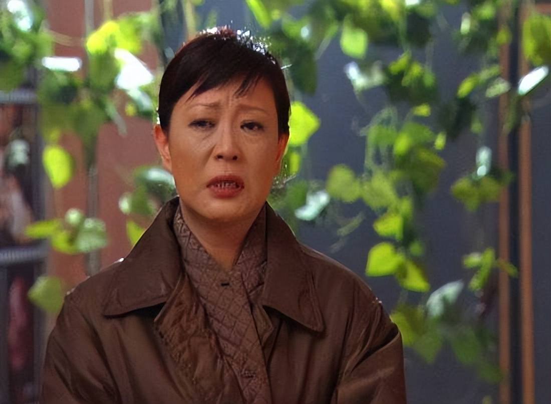 Yang Lei, the former "queen of sketches", has been divorced from Dai ...