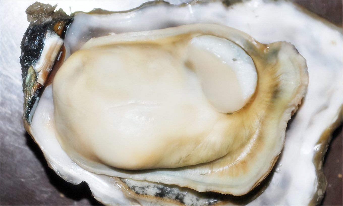 Rizhao Food Guide - Delicious Food Makes a Fairy - iNEWS