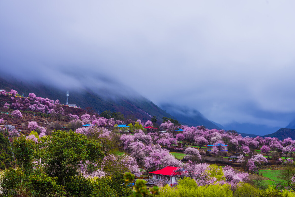 Tibet Travel Strategy in March: Go to Bomi to see peach blossoms and ...