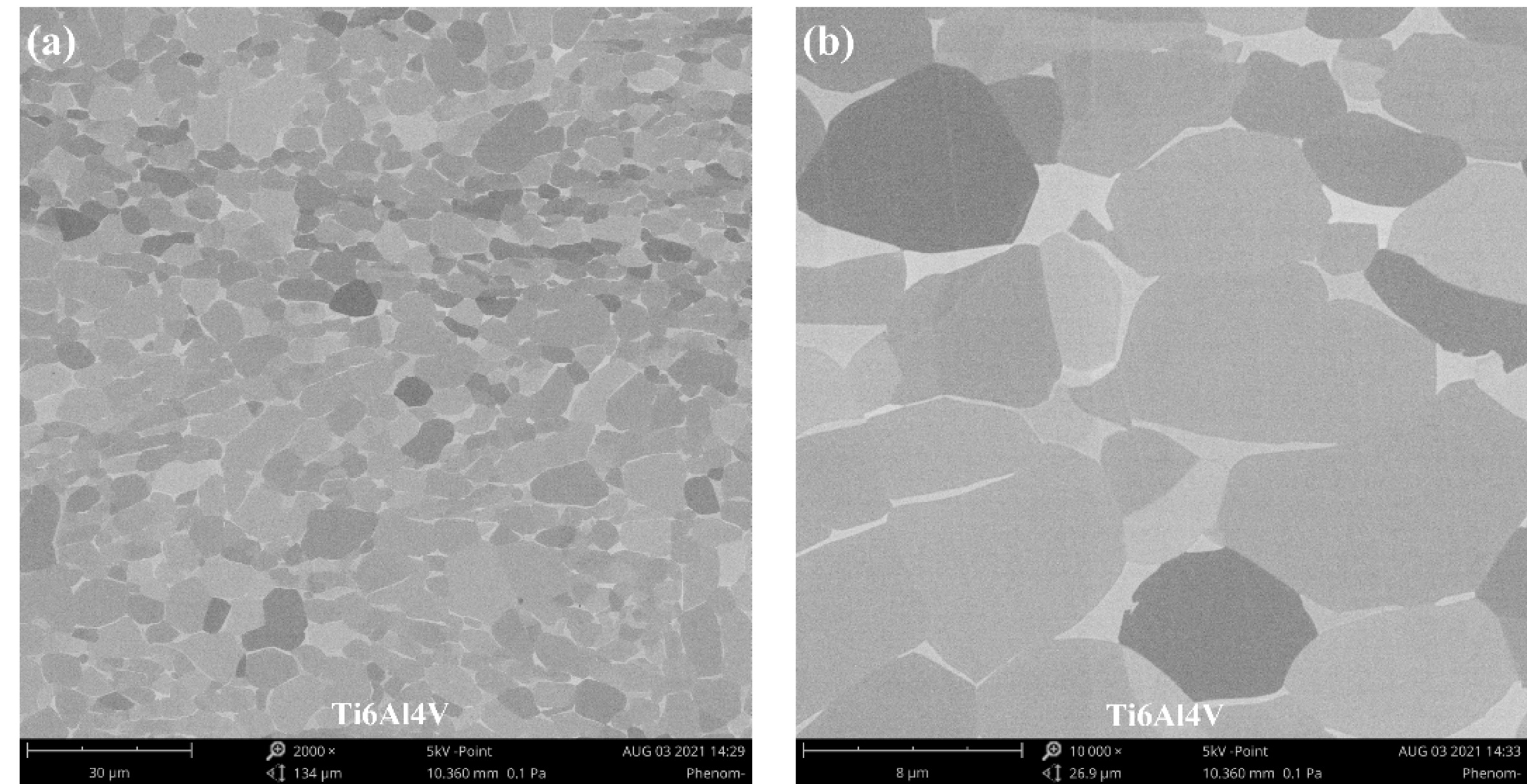 Application of Scanning Electron Microscope in Analysis of Titanium ...