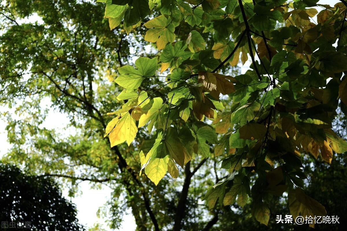 The cool autumn in September is pleasant - iNEWS