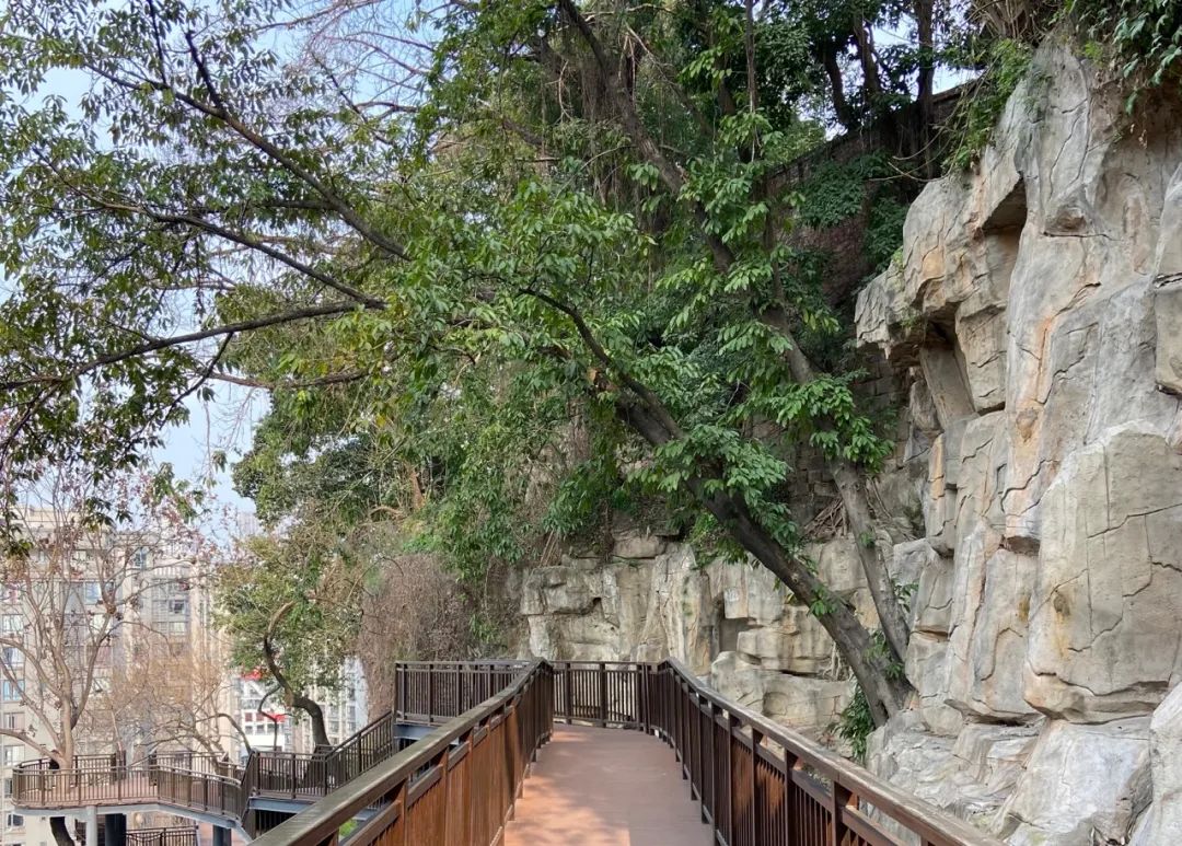 Light and shadow on the cliff walk - iMedia