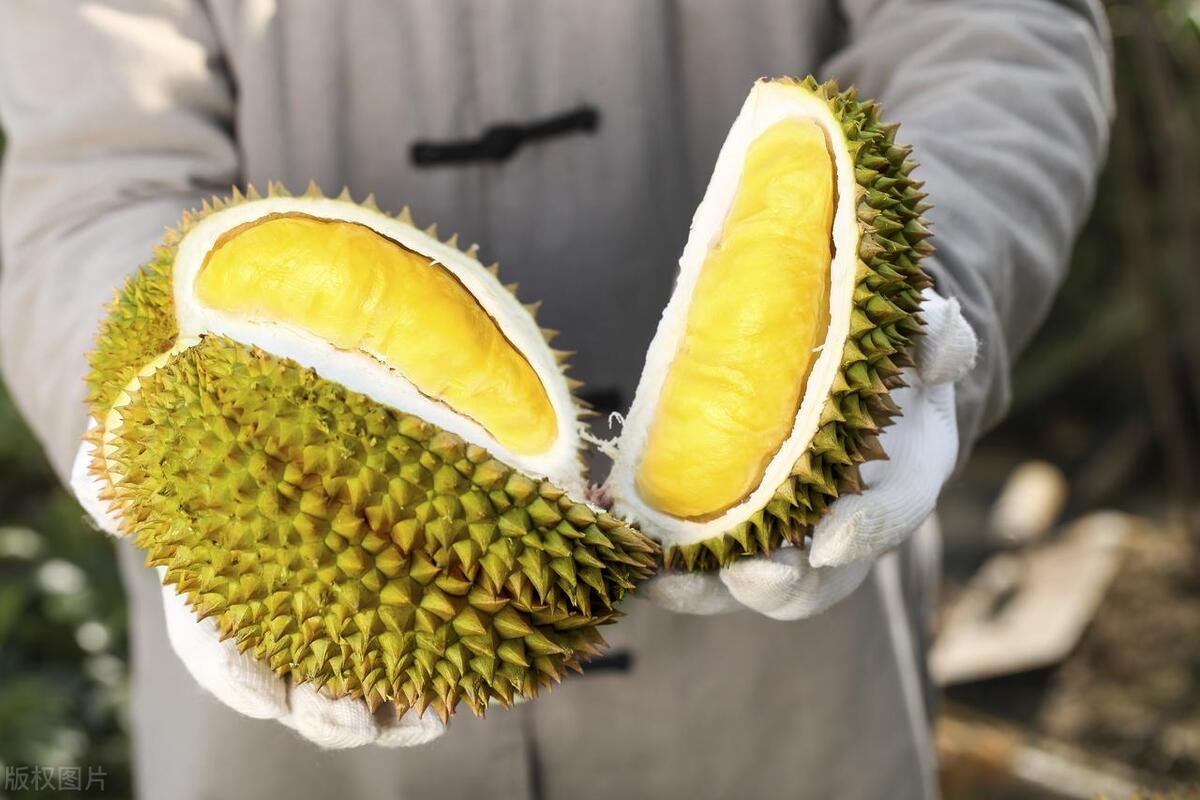 Durian season is hot! The most practical technique for picking durians ...