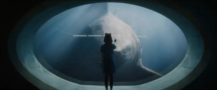 Zhang Jiuming's identity is solved. It turns out that he has this ...