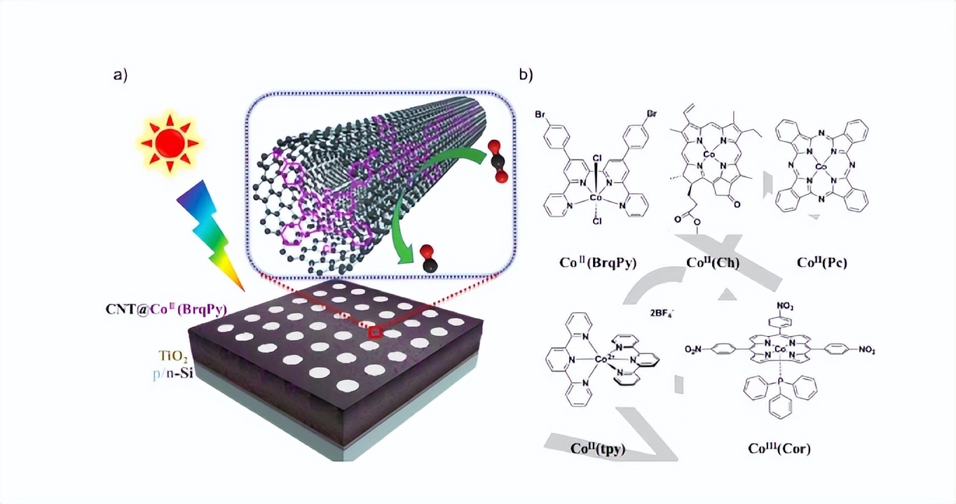 Catalyst recycling to improve methane generation and lignin dimer ...