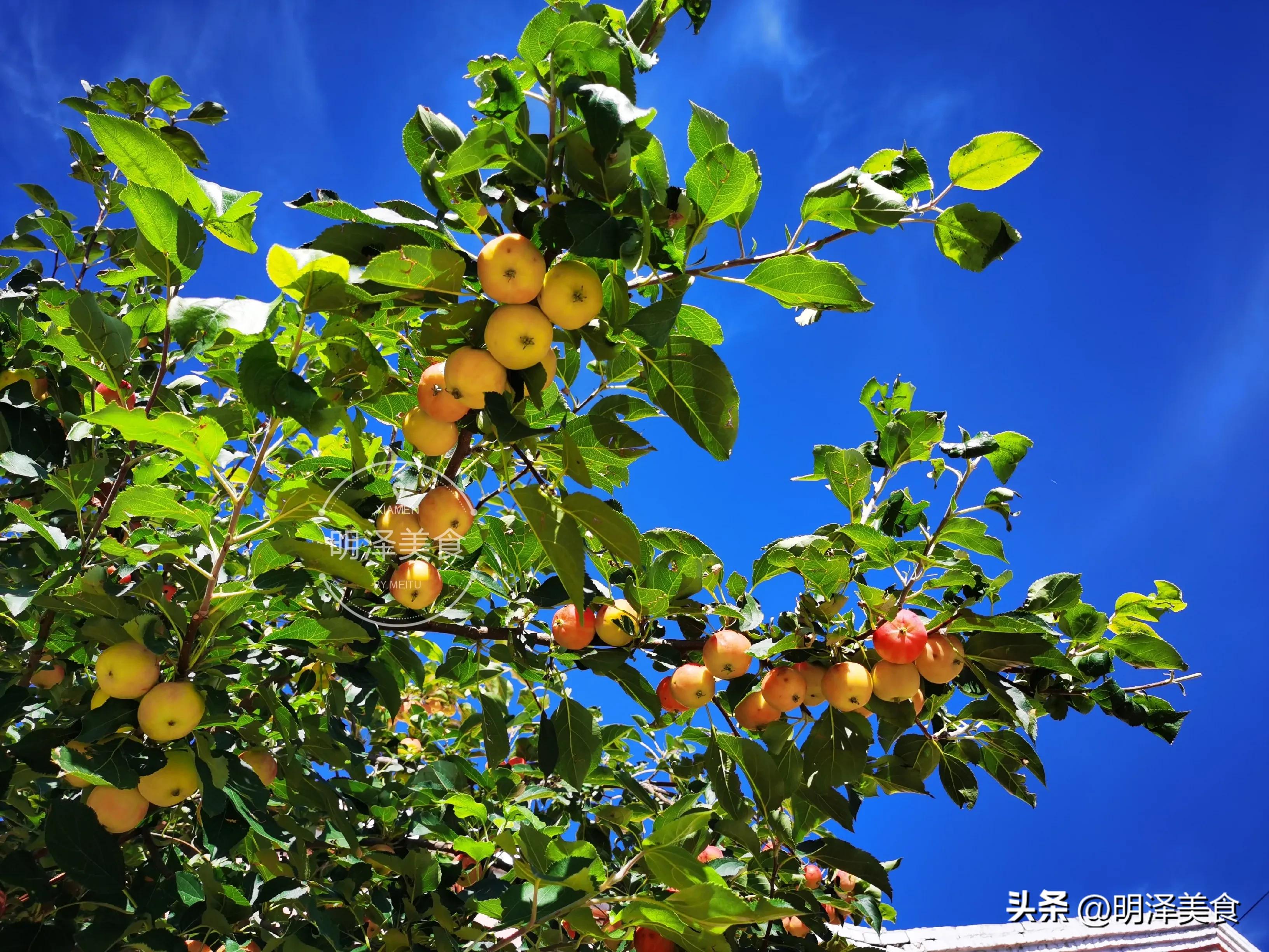 Don't give away the leftover sand fruit at home. It's so delicious to ...