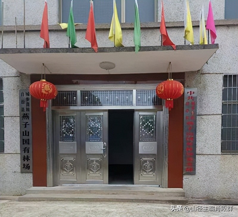 Looking at the feelings of mountain members (55) Zhisheng Gaoshan (Mountain Trail · Yang Jinwen ...