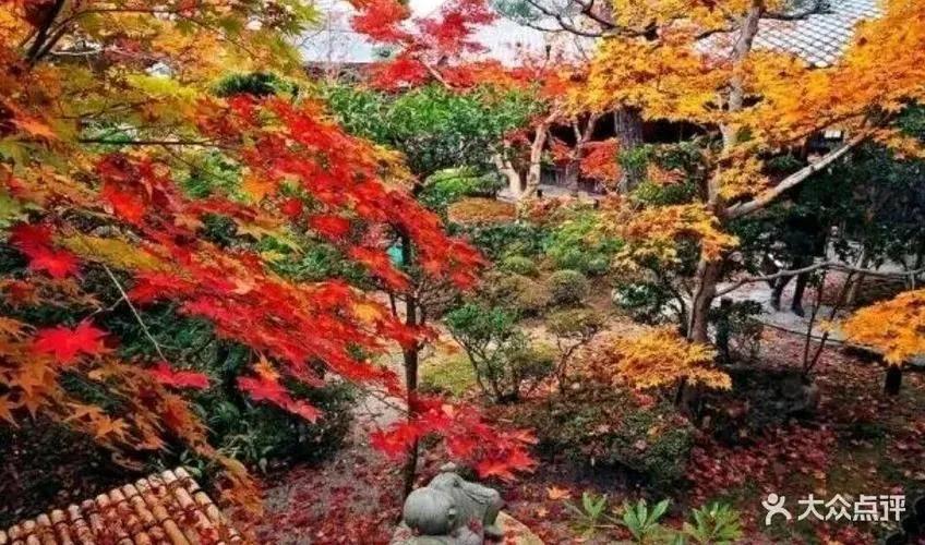 Fragrant Hills Park (New Rhythm) - iNEWS