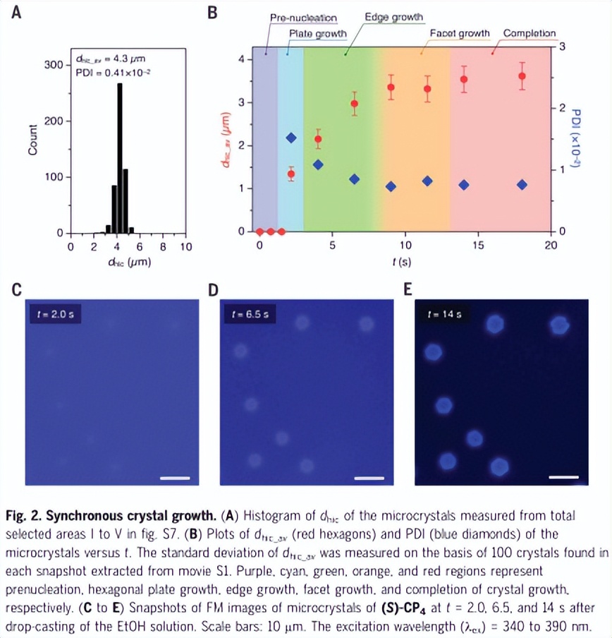 Synchronous Assembly of Chiral Framework Single Crystal Microtubules ...