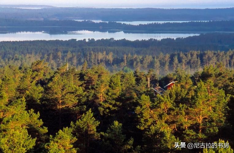 How about information that forest owners choose to keep their worldview ...