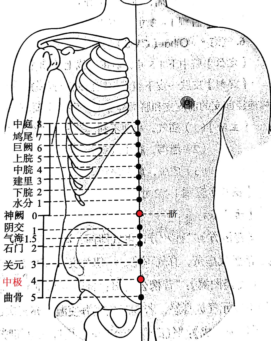 The Magical Use of Zhongji Point - iNEWS