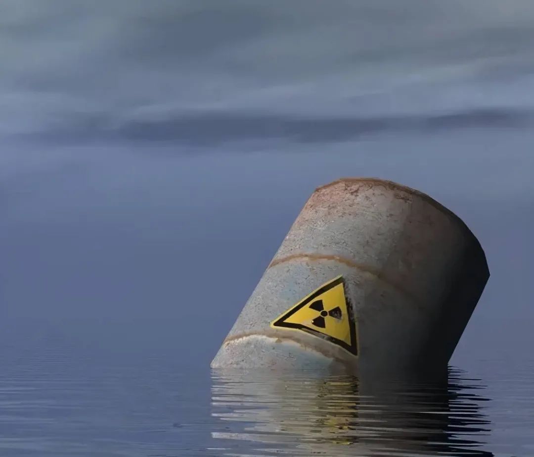 180 million scallops died collectively in Lake Nocho, Japan, and ...