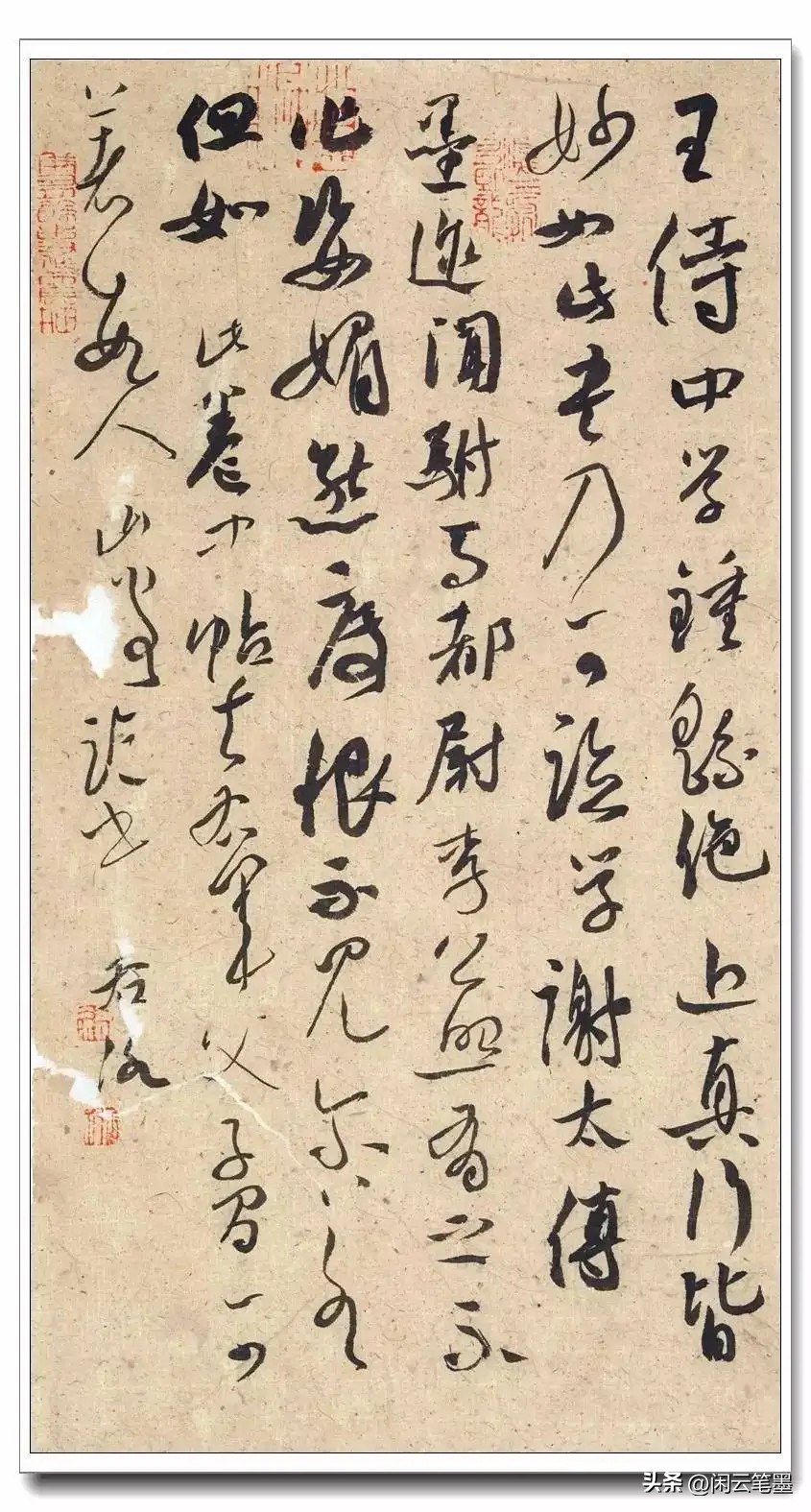 Young talent Xu Youbing's cursive writing is unrestrained and ...