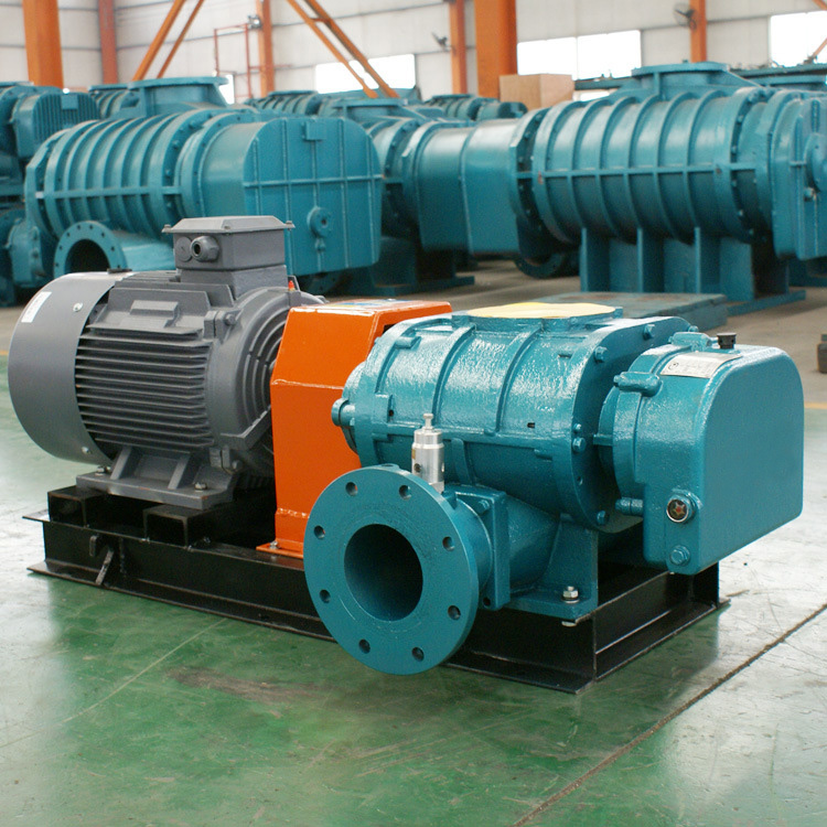 What are the reasons for the oil leakage of Xinle Roots blower? - iNEWS