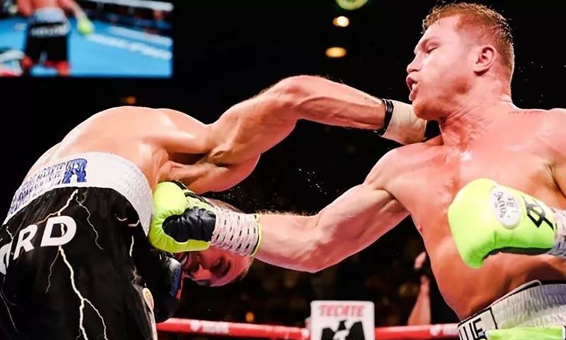 A shocking reversal across levels, four levels of boxing champions vs ...