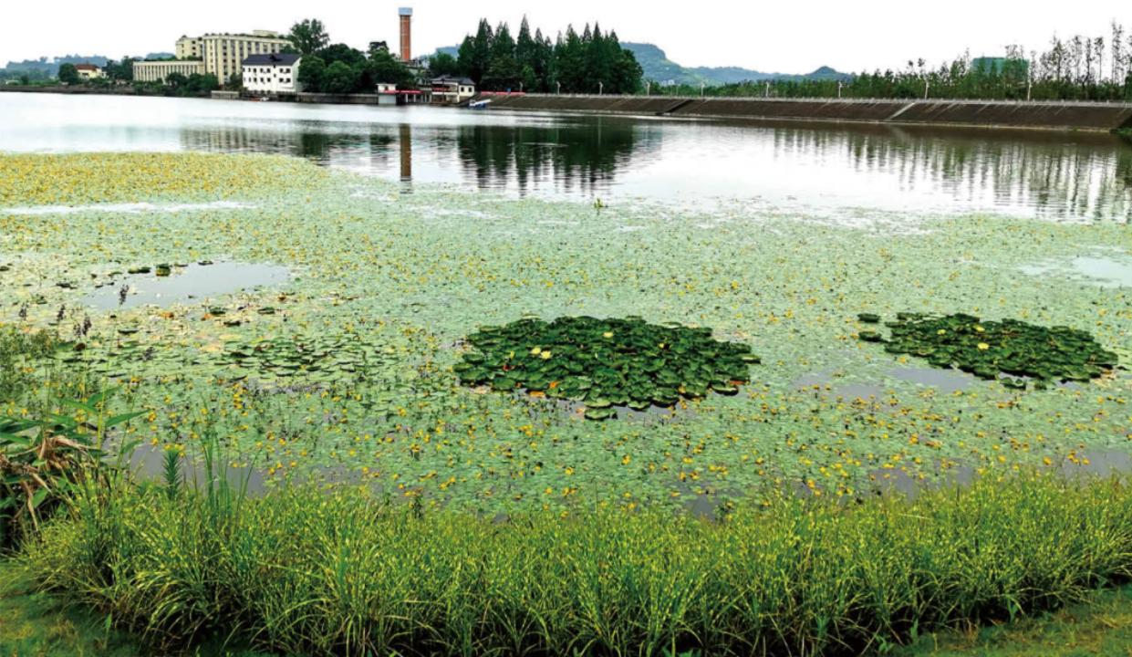 "International Wetland City" Liang Ping's ecological code - iNEWS