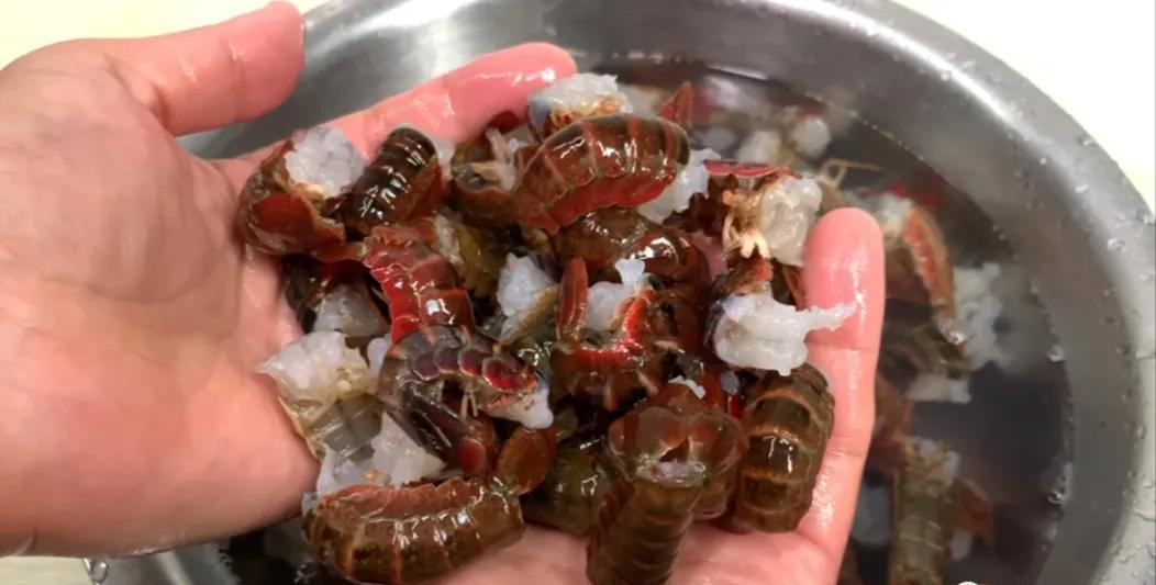 One bite of it = 6000 parasites? A large number of them are on the ...