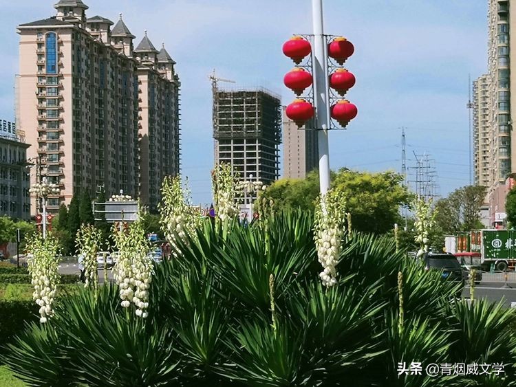 Shang Shan Ruo Water Bird Insect Seal Stone Carving New Look - iNEWS