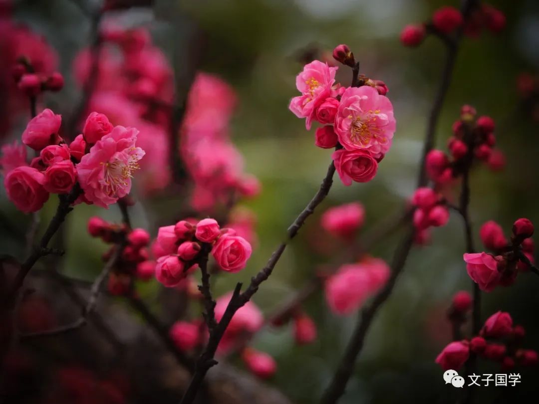 Why should "Cheng Zhu Neo Confucianism" be kicked out of Confucianism ...