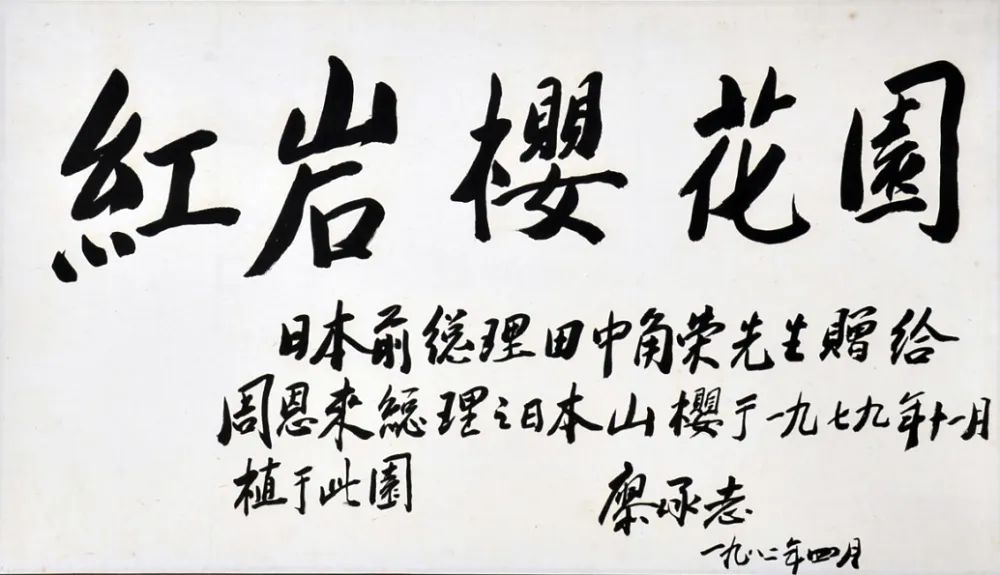 Zhou Enlai, Deng Yingchao and the cherry blossoms in Hongyan Village ...