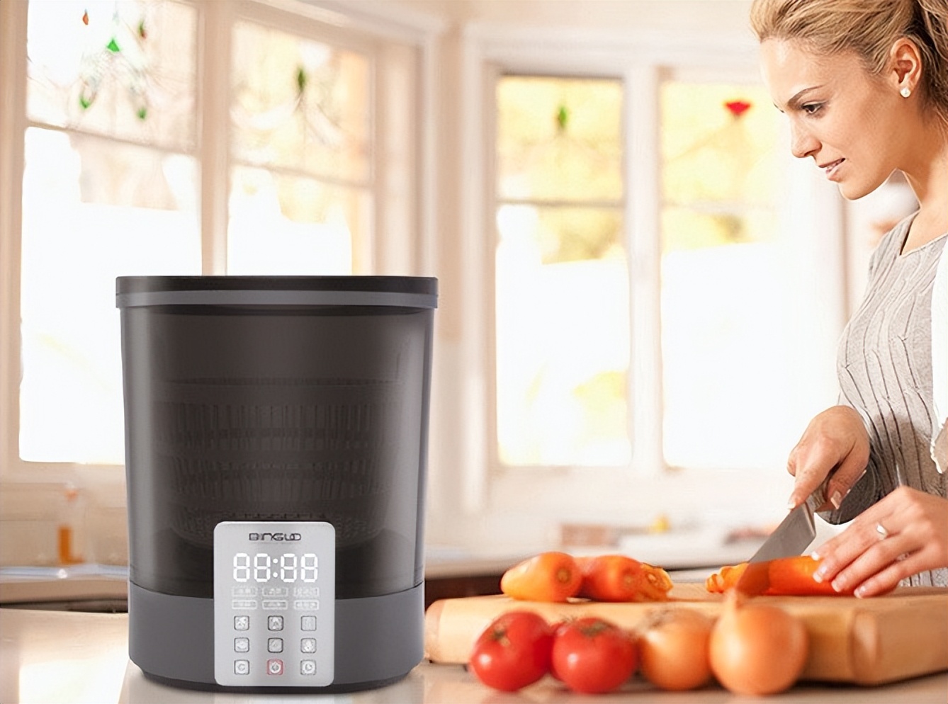 Top ten brands of household food purifiers, what brand is good for ...