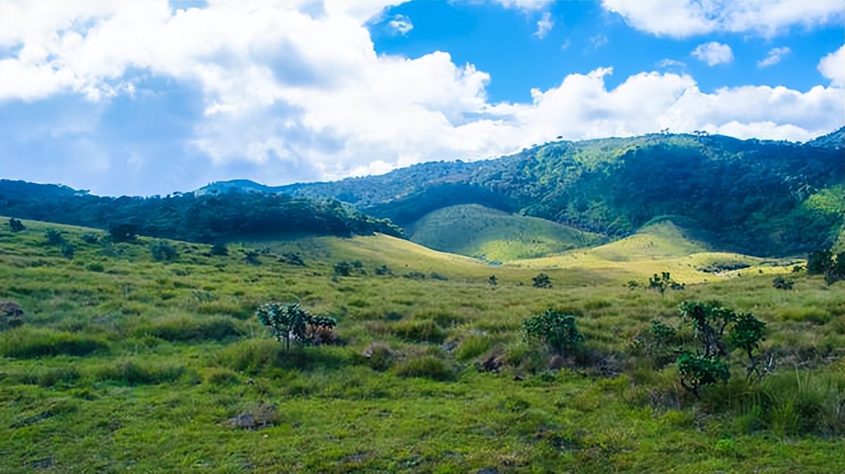 [Good text sharing] The wonderful melody can bring our hearts to the ...