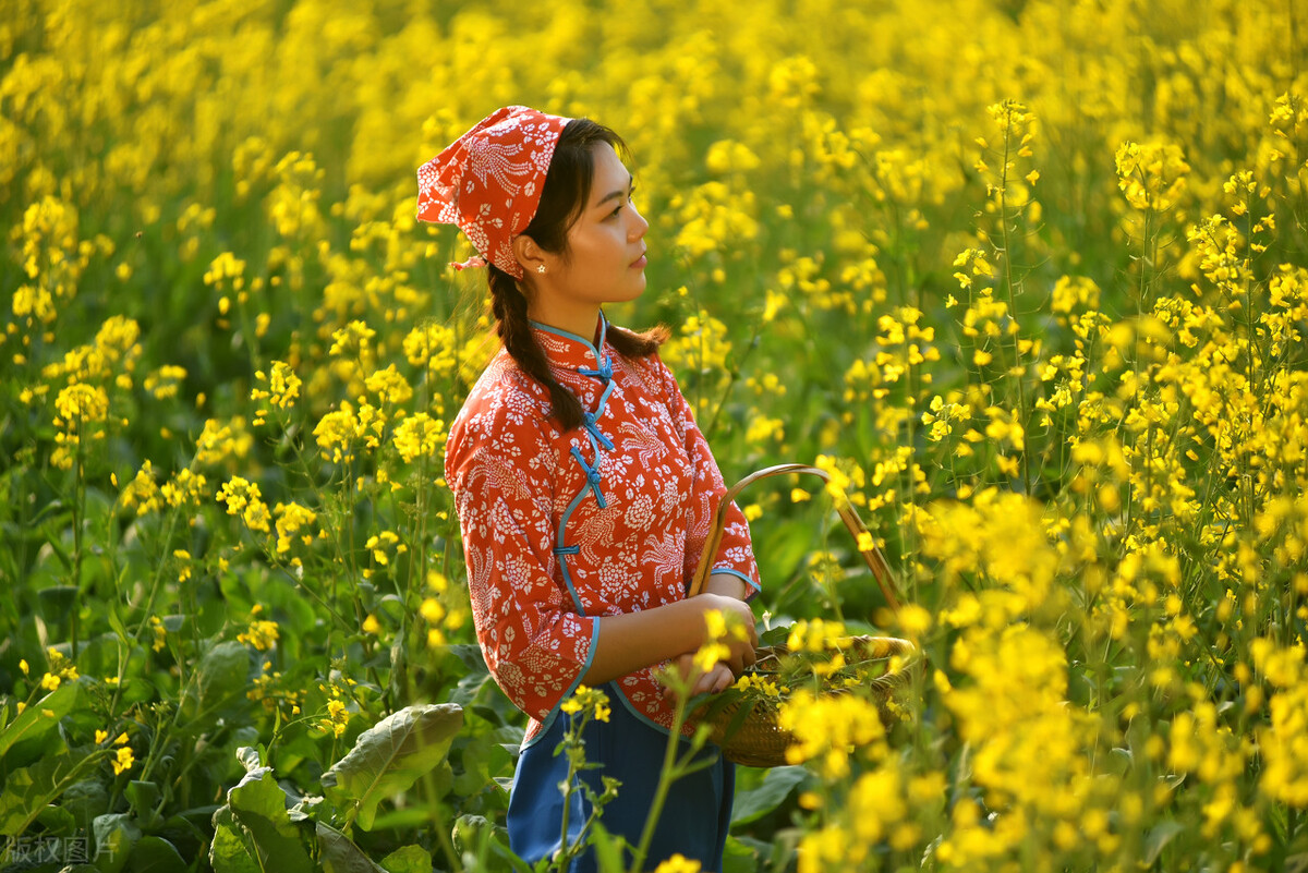 Anthology of Qu Fenghua's Poems: Appreciating Rapeseed Blossoms, Seas ...