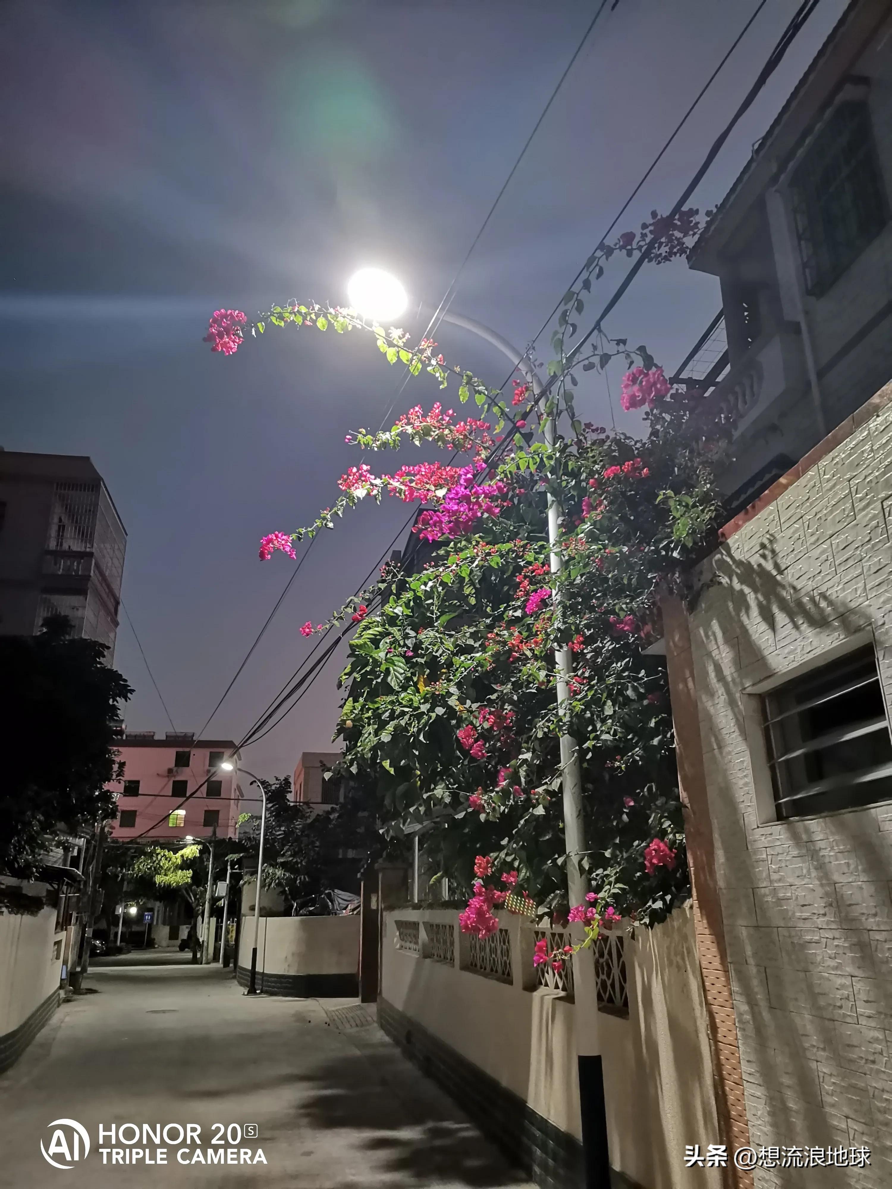 My first stop in the life of migratory birds—Meixi Village - iNEWS