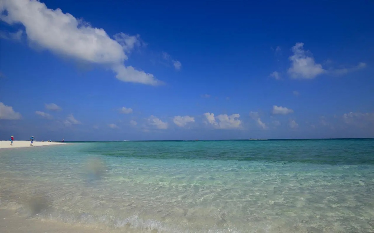 The 2023 Beijing Wenyu River Park Half Marathon is about to begin! - iMedia