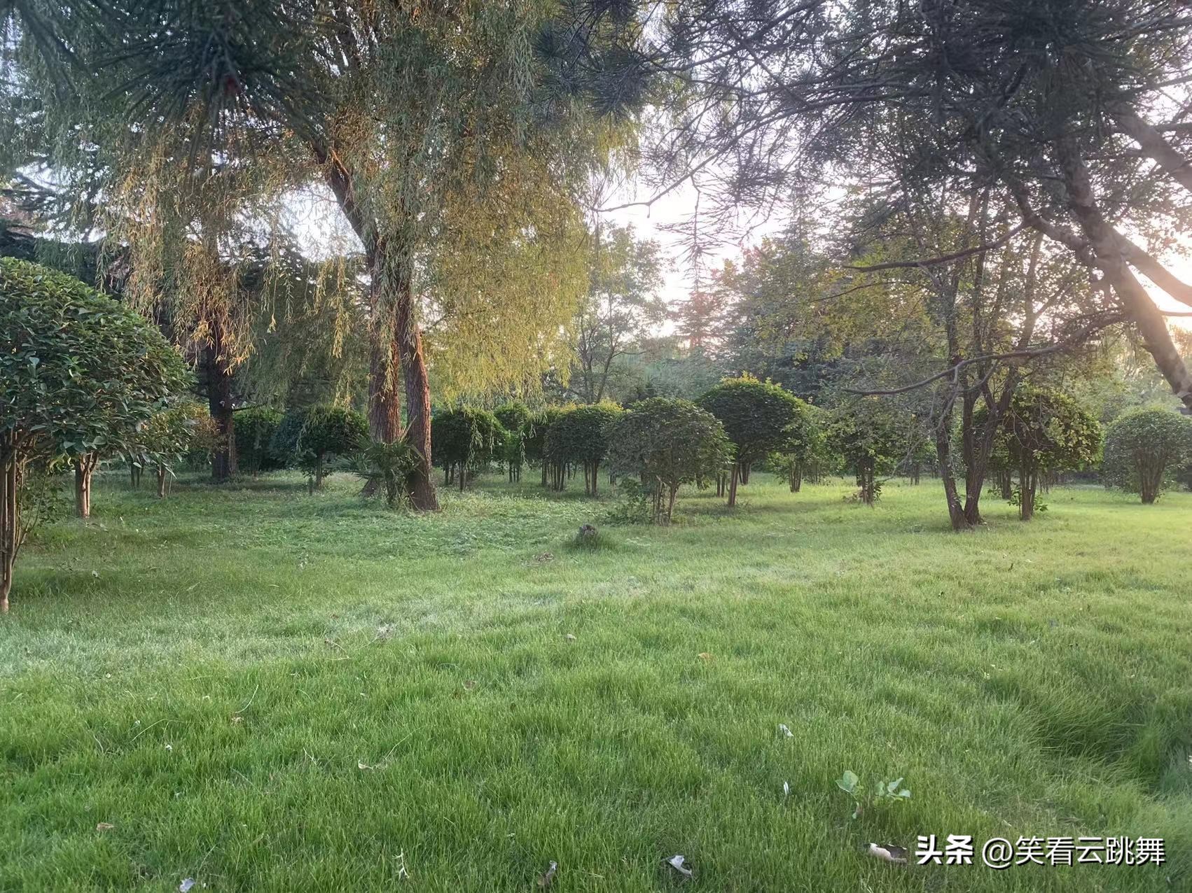 Luohe River in Autumn: Why is there no dust in the autumn sky? - iNEWS