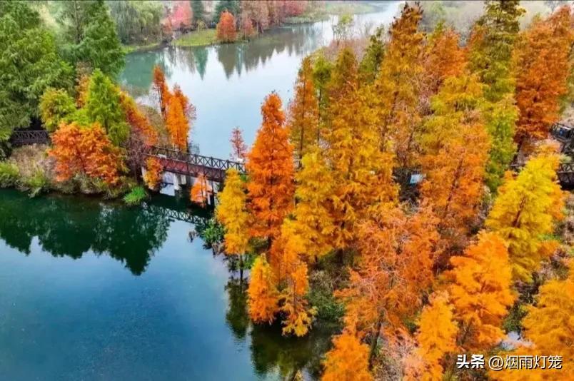 103 years ago, a great scientific experiment began - iNEWS