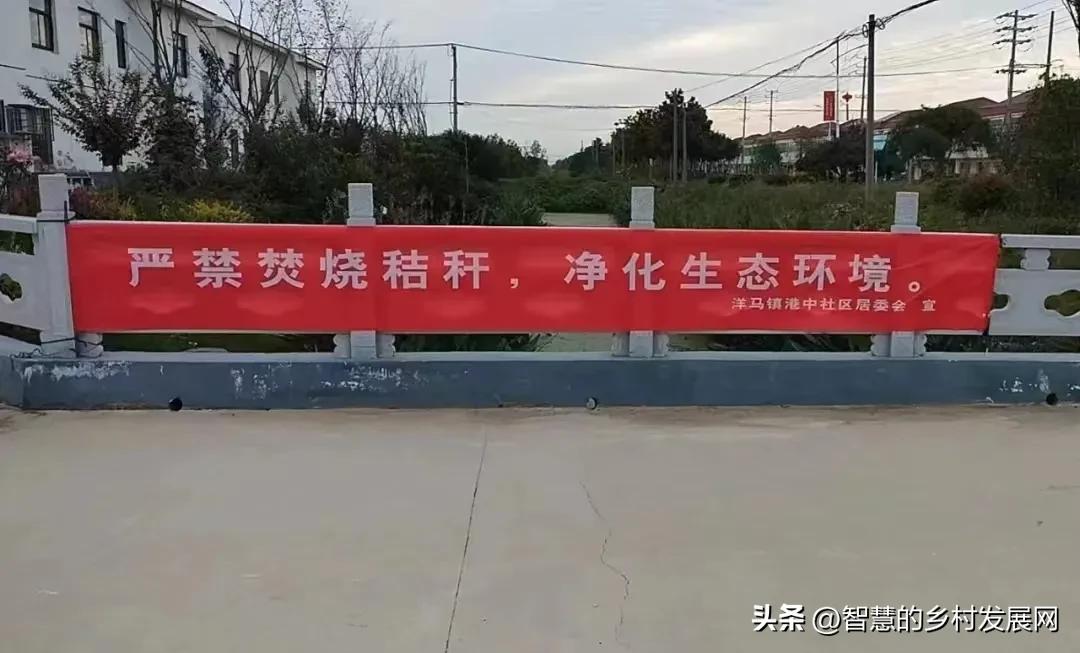 Yanma Town Weaving Dense Straw "Double Ban" Protection Net - iNEWS