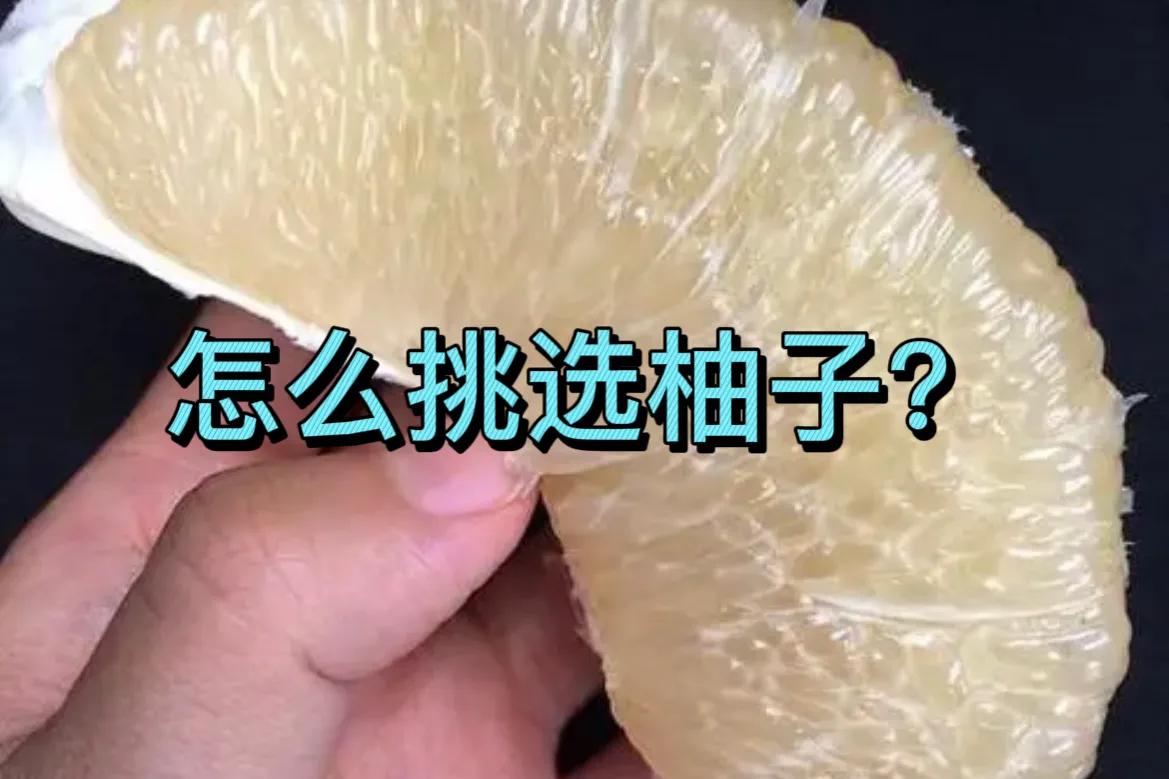 Eating grapefruit is good for nutrition. How to choose high-quality and ...