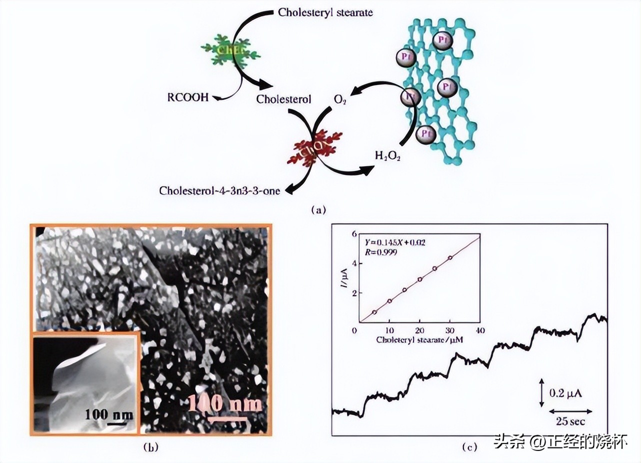 Polylysine modified graphene, how to achieve protein enrichment ...