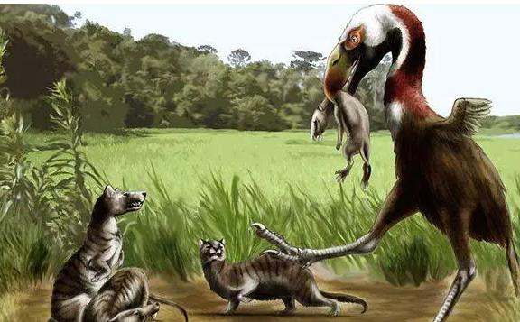 do you know? The fossil record reveals how life and environments have ...