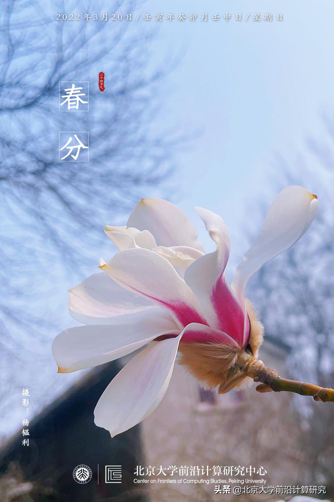 Richard Feynman and the Origins of Quantum Computing - iNEWS