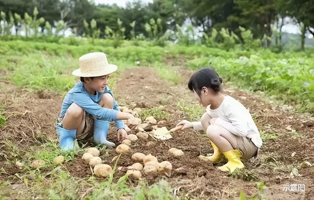 WOW! The Children's Dream Science Paradise at your doorstep will let ...