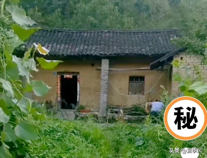 Imitation of the shallow poetry style, write a poem: "The Front and ...