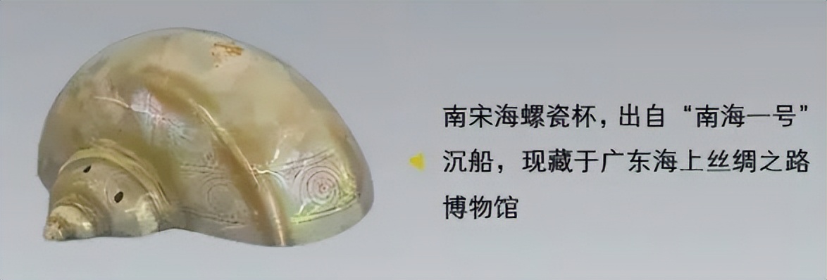 Chen Chen: Conch Culture in Ancient China - iNEWS