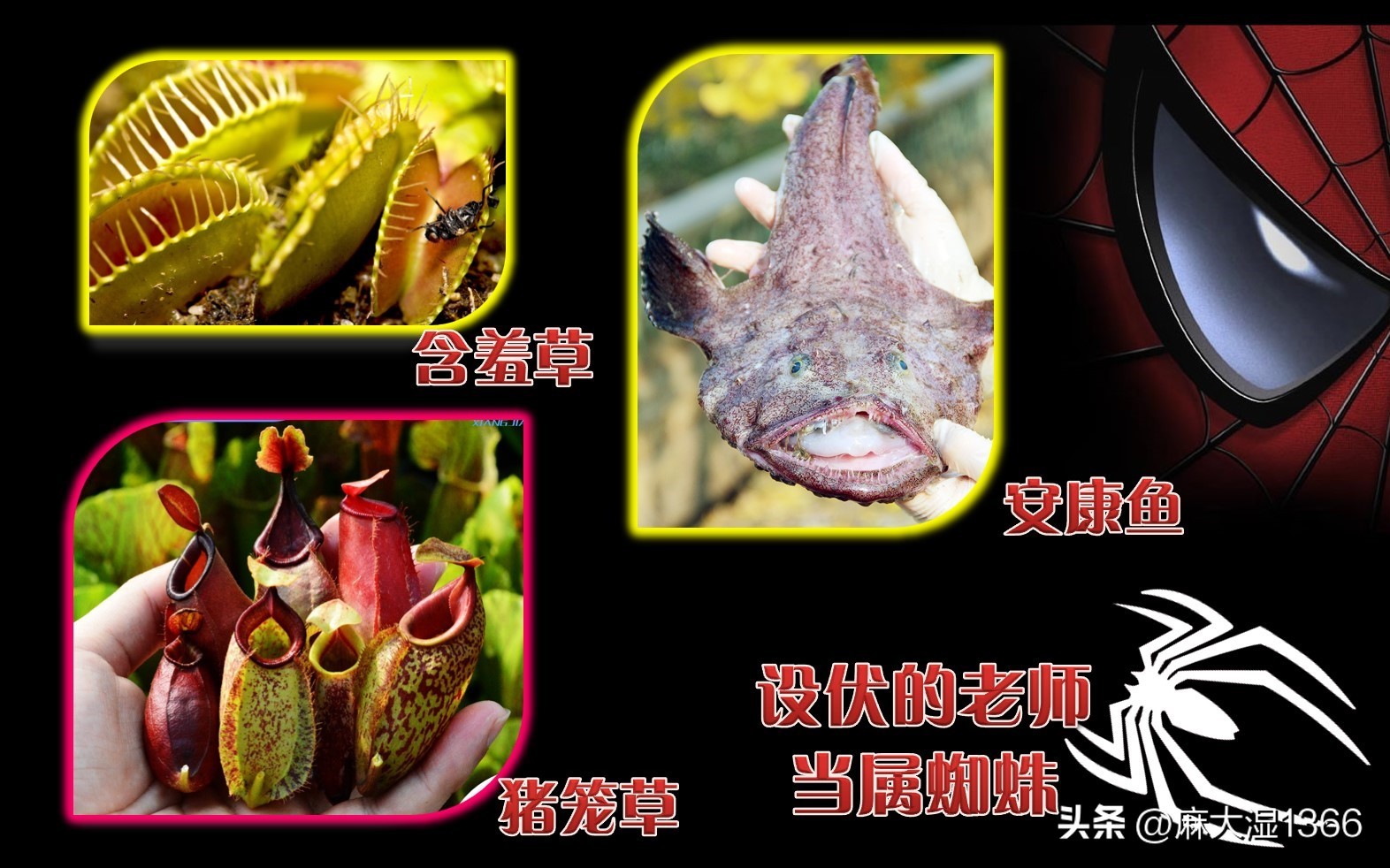 A subtle difference in one word: an ambush is easy to ambush and ...