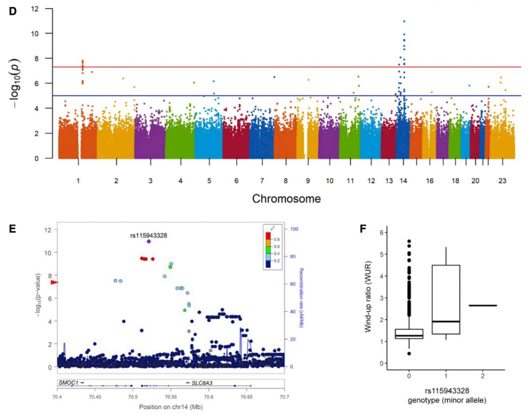 Cell sub-journal: AAV gene therapy relieves chronic pain - iNEWS
